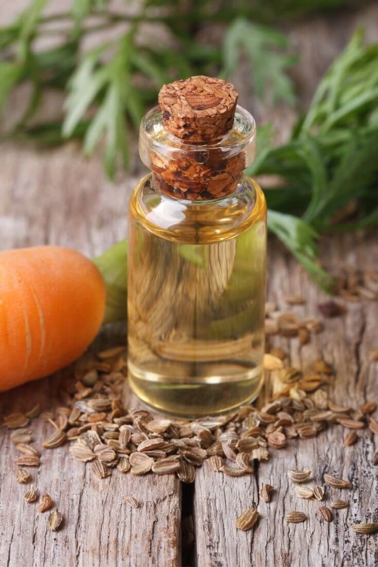 Carrot Seed Oil Benefits for Skin: How to Use; Where to Buy + DIY ...
